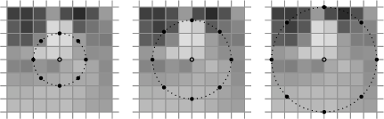 Local Binary Pattern (LBP)